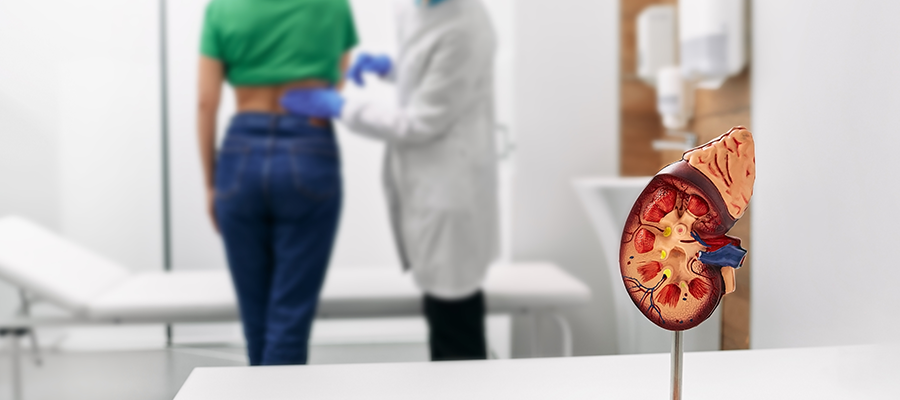 Magnesium for Kidney Stones | Natural Calm Canada